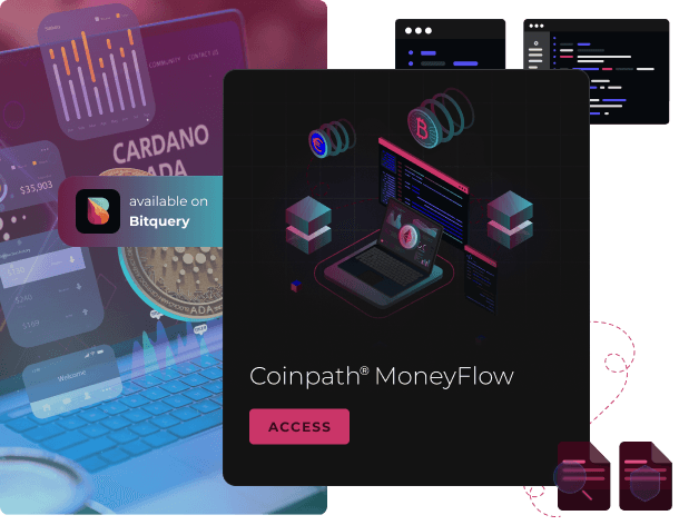 Coinpath® MoneyFlow - Crypto Investigation Tool - Bitquery
